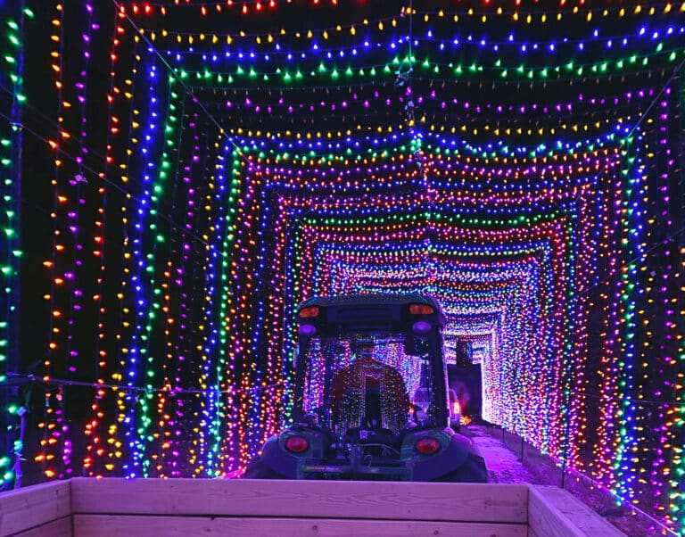 Milwaukee Holiday Lights to See in 2025: Free Displays & More ...