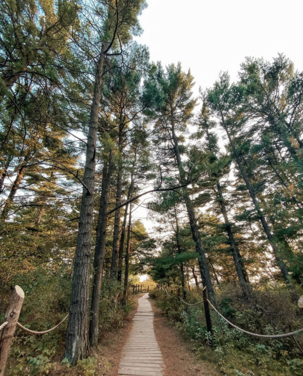 25 Gorgeous Hikes Around Milwaukee (2025) - Milwaukee With Kids