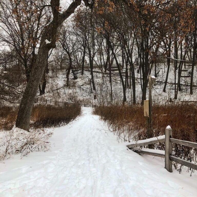 10 Gorgeous Winter Hikes Around Milwaukee (2025) - Milwaukee With Kids