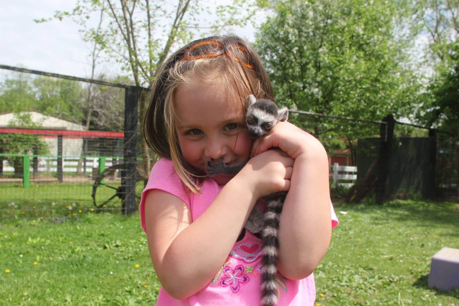 5 Adorable Petting Zoos & Farms Around Milwaukee (2024) - Milwaukee ...