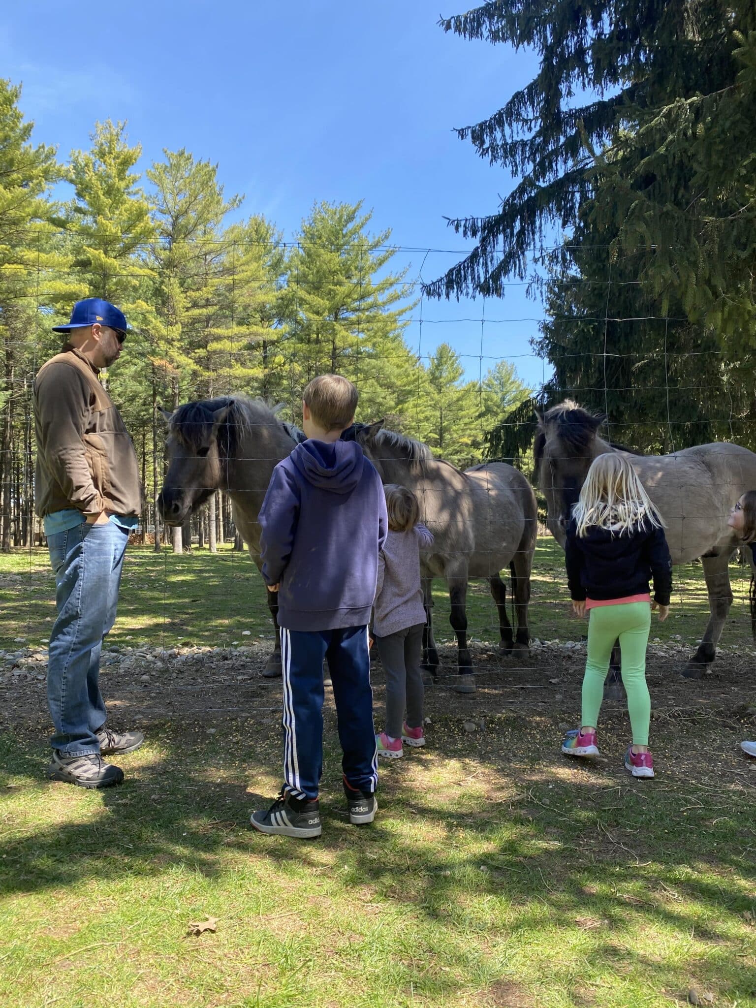 Shalom Wildlife Zoo: A Wild Adventure in West Bend - Milwaukee With Kids