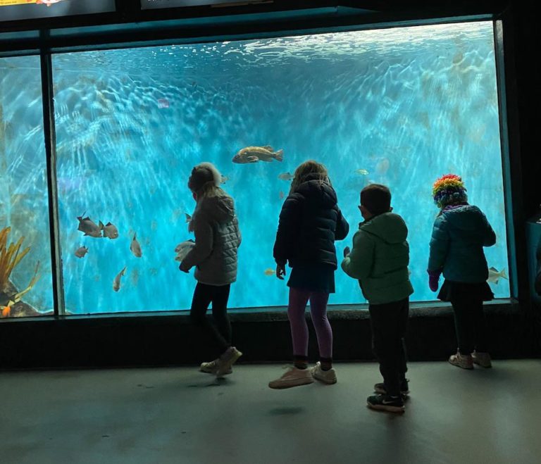 100+ Fun Winter Activities for Families in Milwaukee (2025) - Milwaukee ...