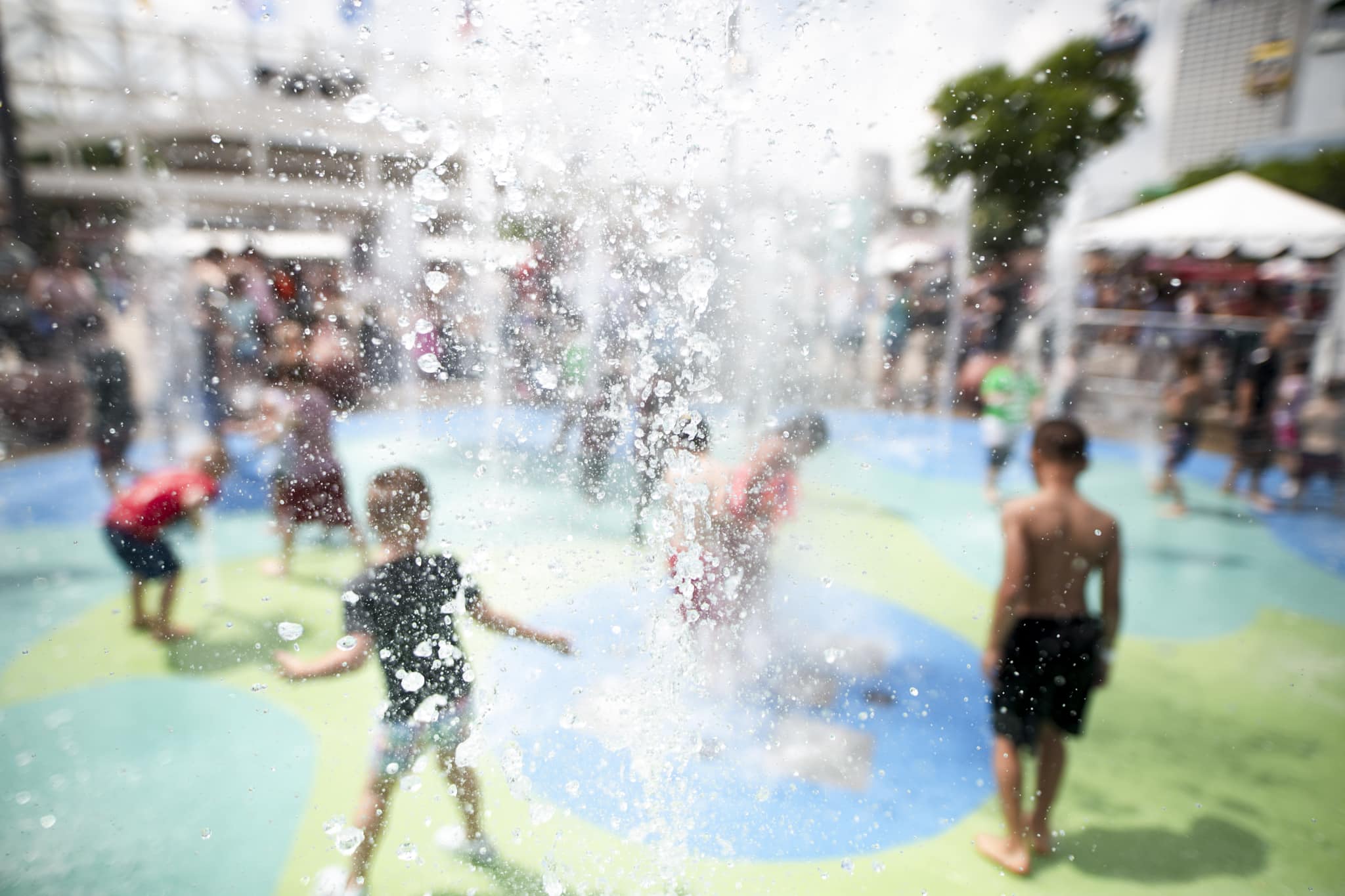 Seasonal Family Fun in Milwaukee: Activities for Every Season