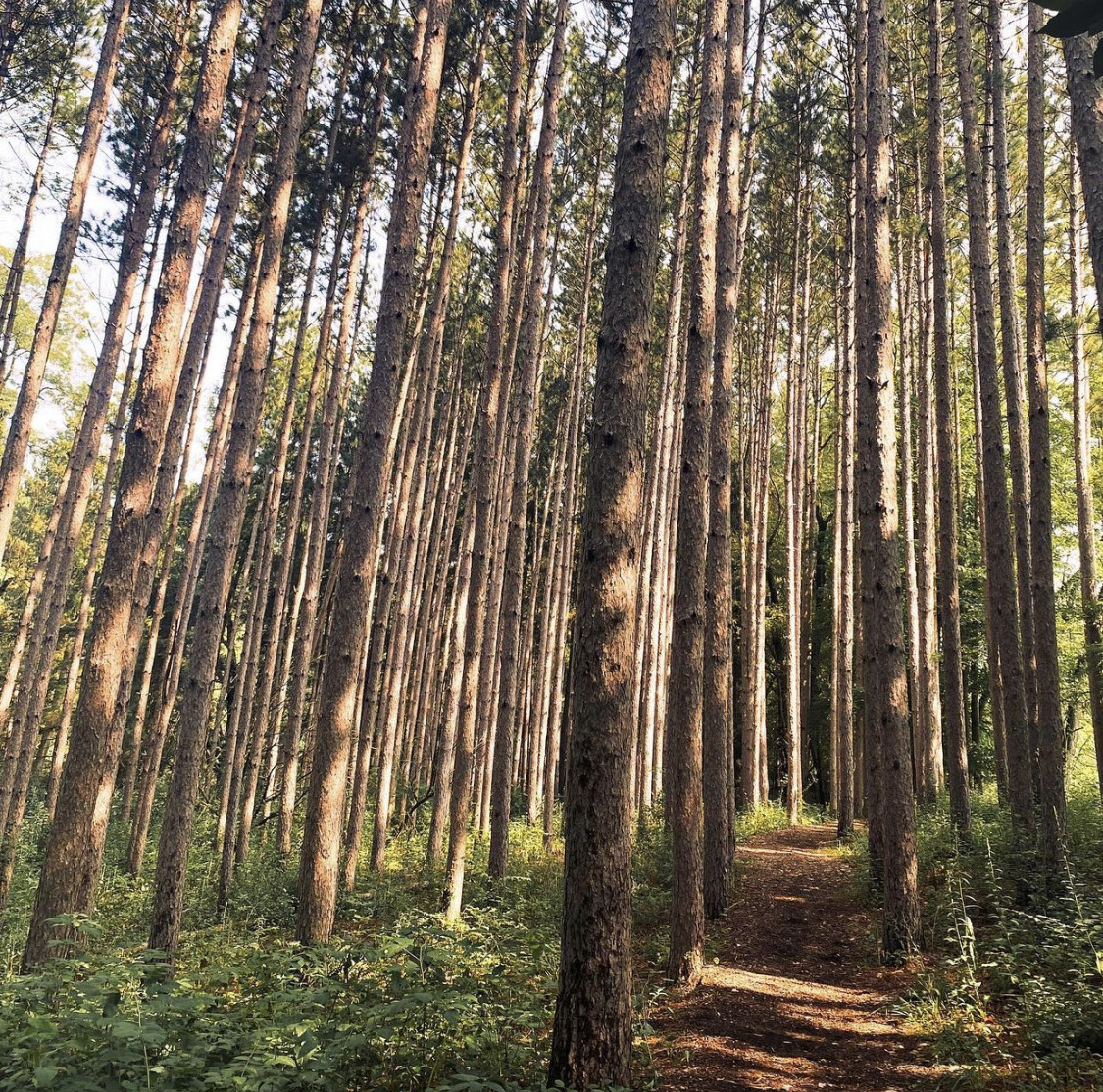 10 Nature Centers Around Milwaukee (2022) - Milwaukee with Kids