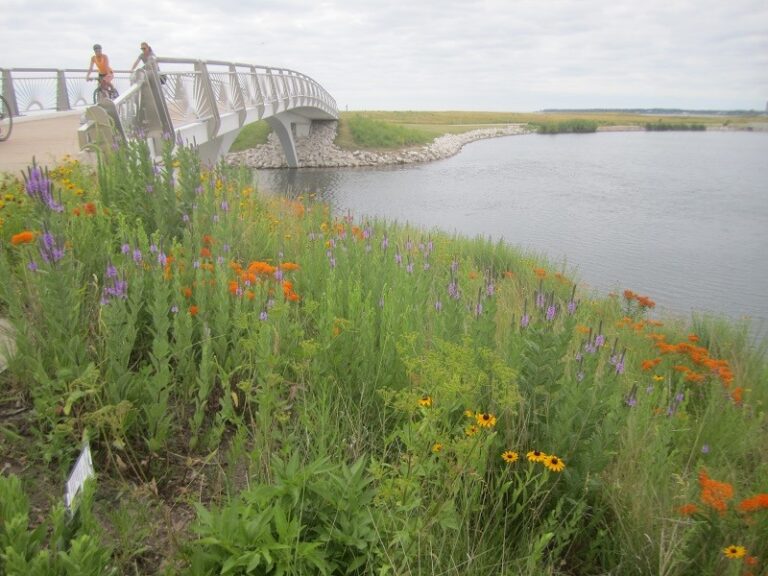 25 Gorgeous Hikes Around Milwaukee (2025) - Milwaukee With Kids