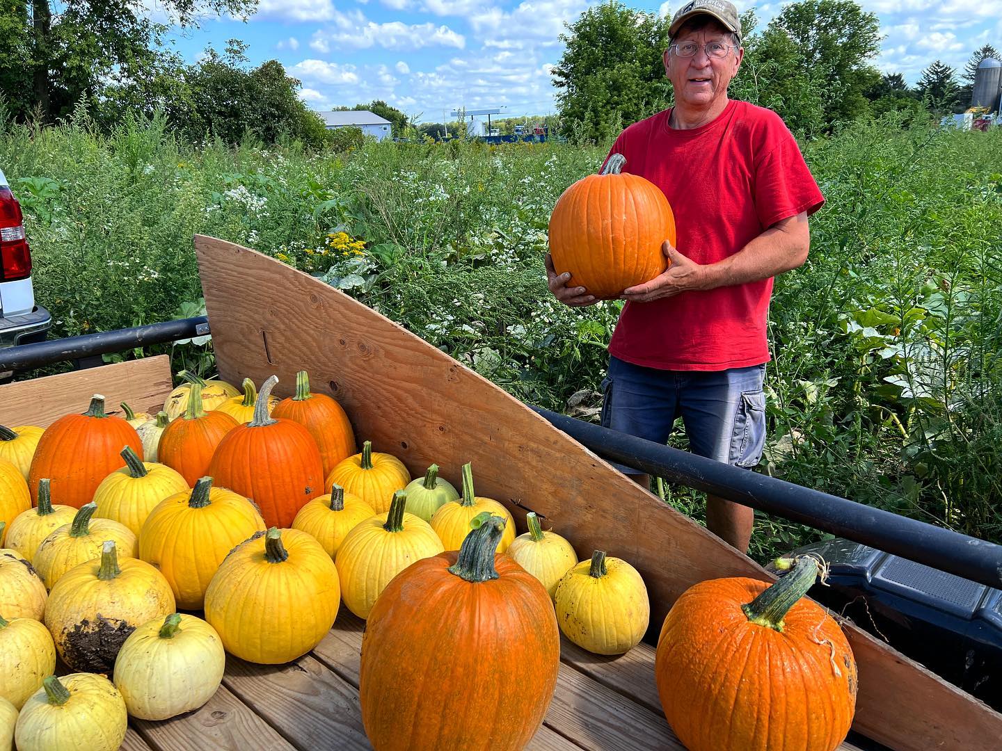 18 Best Pumpkin Patches in Southeastern Wisconsin (2023) - Milwaukee ...