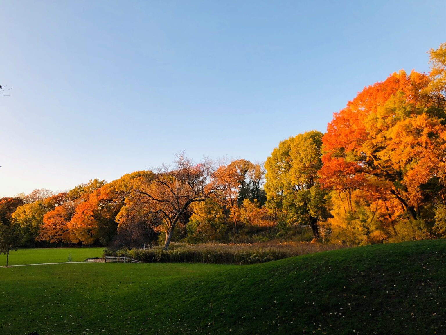 25 Gorgeous Hikes Around Milwaukee (2025) - Milwaukee With Kids