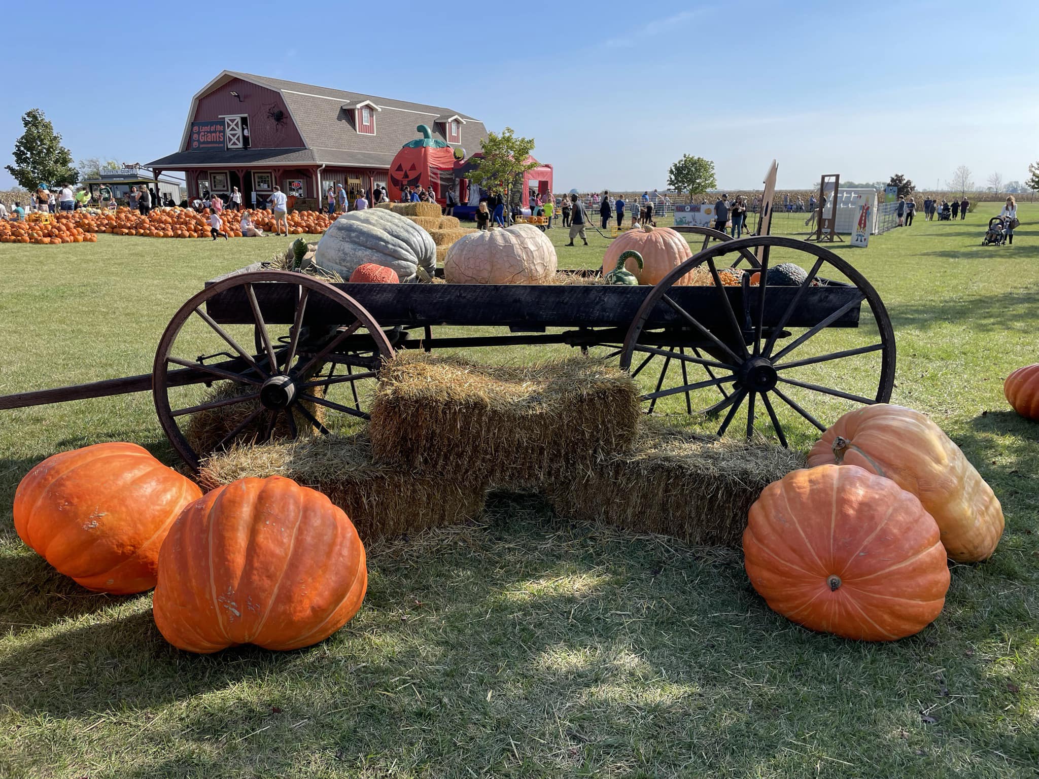 10 Best Pumpkin Patches in Southeastern Wisconsin (2023) - Milwaukee ...