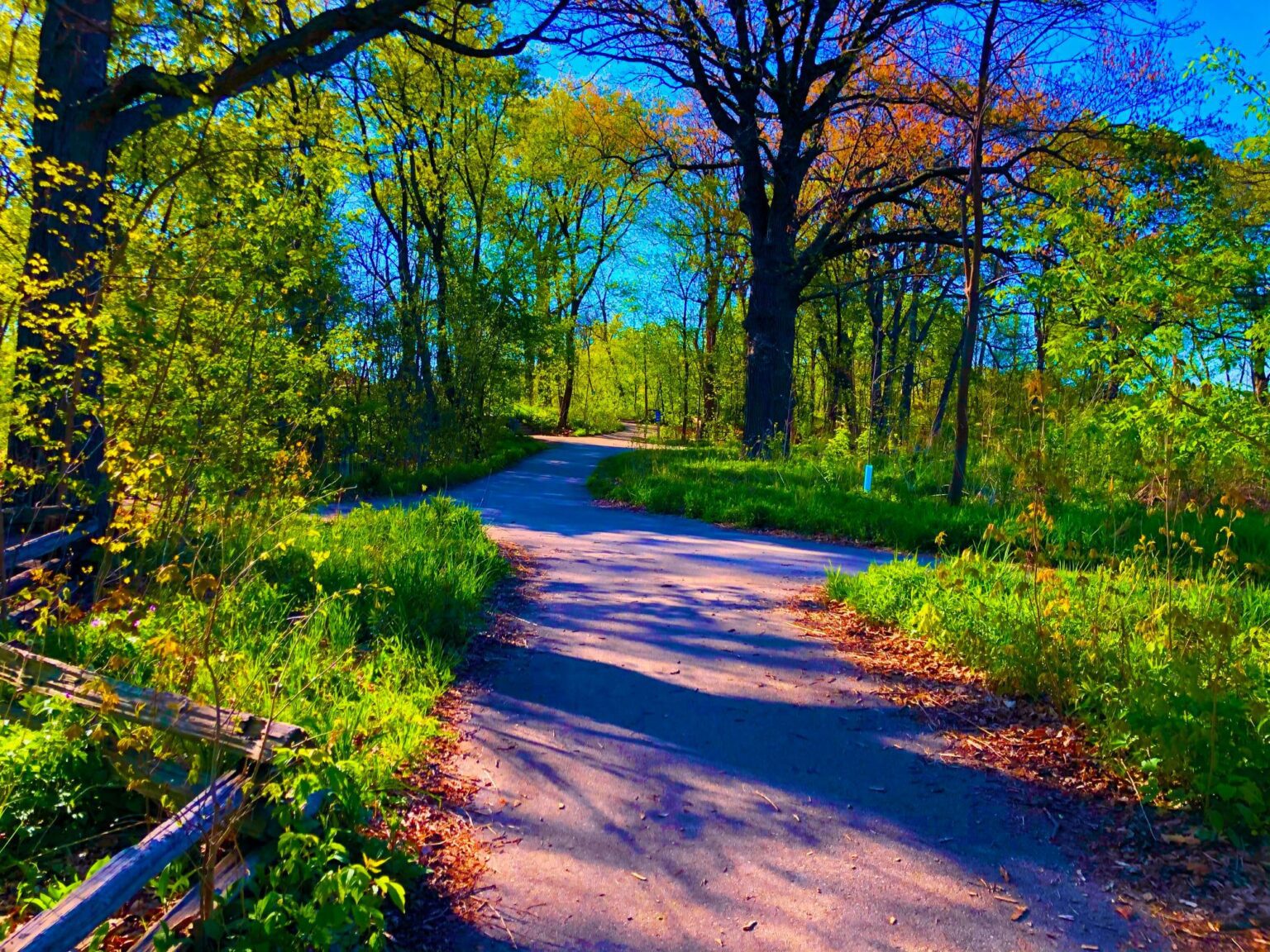 17 Gorgeous Fall Hikes Around Milwaukee (2022) - Milwaukee with Kids