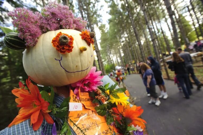 17 Gorgeous Fall Hikes Around Milwaukee (2022) - Milwaukee with Kids