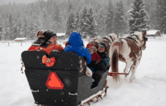 Top Sleigh Rides & Horse Carriage Rides Near Milwaukee 2025 - Milwaukee ...