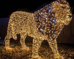 15 Best Milwaukee Holiday Lights Displays (2023) - Milwaukee with Kids
