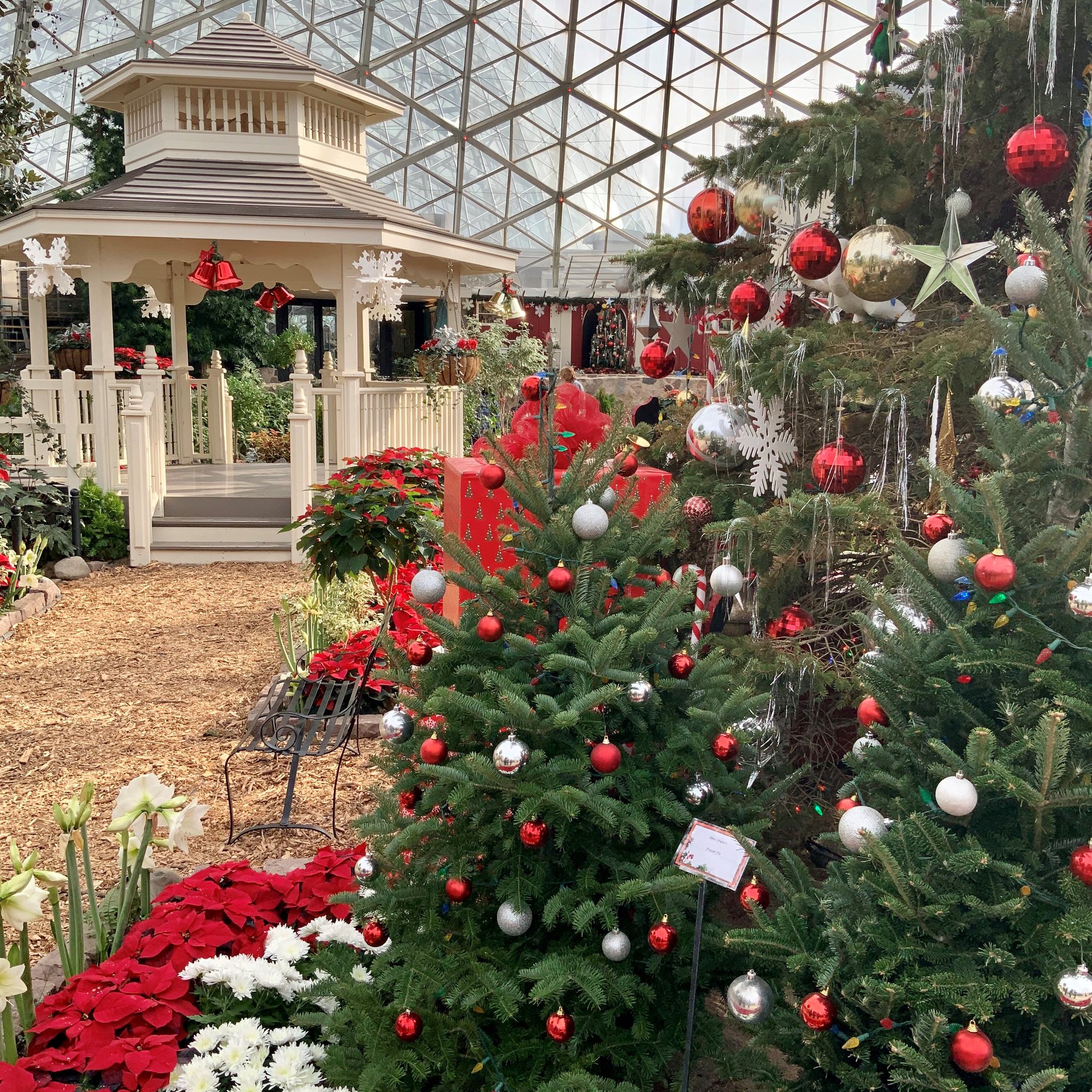 50 Things To Do During Winter Break in Milwaukee (2021) - Milwaukee ...