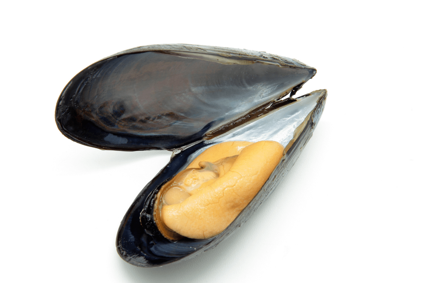 125 Fin-Tastic Fish Puns & Jokes For Kids (2025) - Milwaukee With Kids