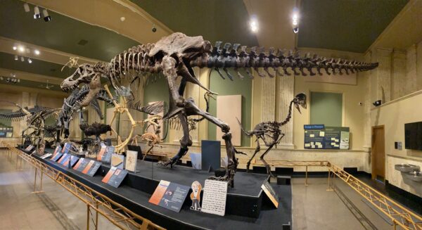 Dinosaur Discovery Museum in Kenosha: What Families Need to Know ...