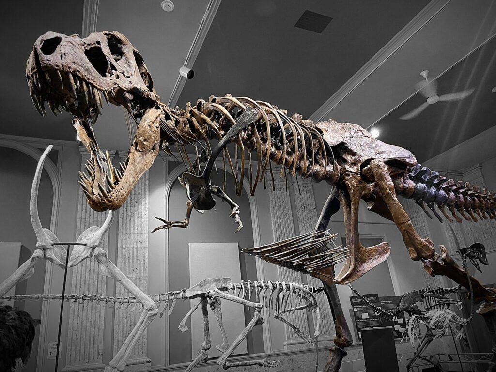 Dinosaur Discovery Museum in Kenosha: What Families Need to Know ...