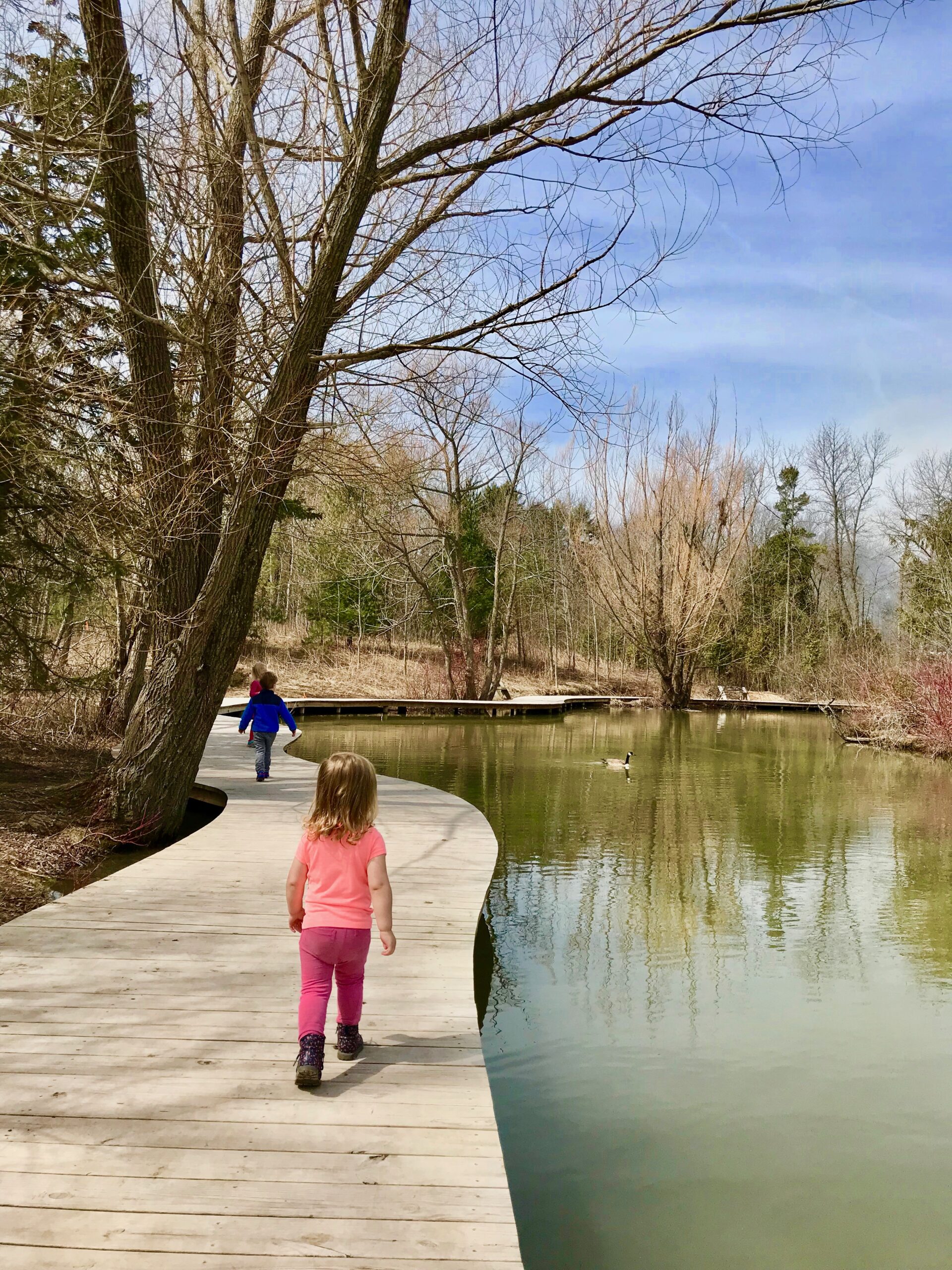 100 Milwaukee Staycation Ideas for Spring Break (2024) - Milwaukee With ...