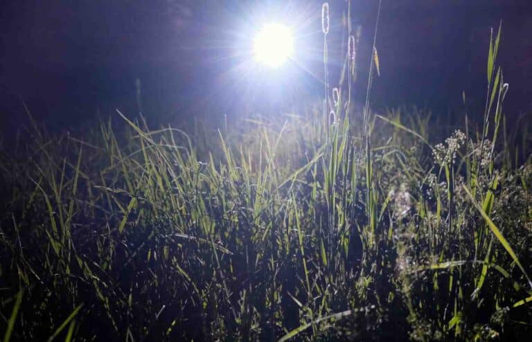 25 Best Flashlight Games For Kids (2025) - Milwaukee With Kids