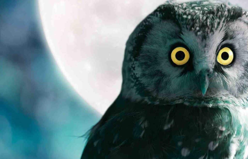 25 Best Flashlight Games For Kids (2025) - Milwaukee With Kids