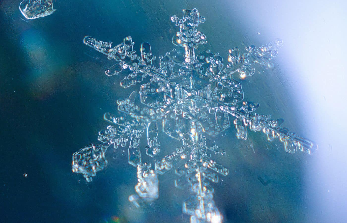 50 Mind-Blowing Facts About Snow For Kids (2025) - Milwaukee With Kids