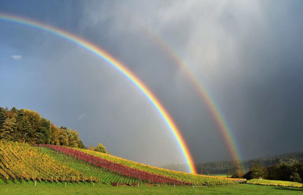 25 Fun & Surprising Rainbow Facts for Kids (2026 Guide) - Milwaukee ...