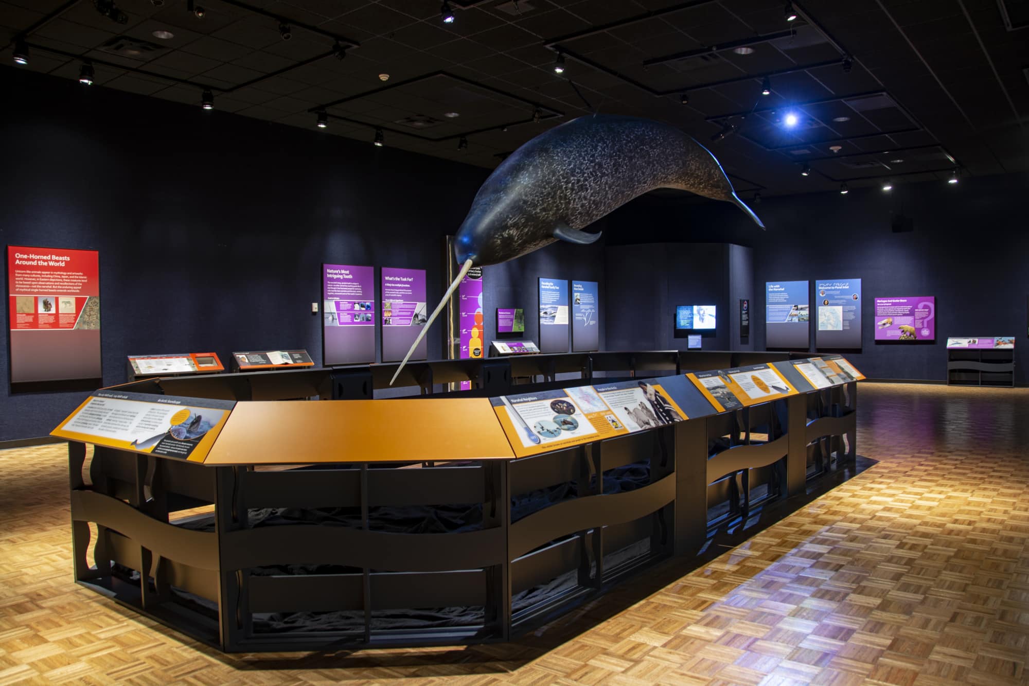 50 Mind-Blowing Monkey Facts Your Kids Will Love (2022) - Milwaukee ...