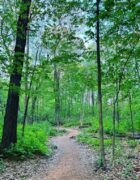 23 Kid-Friendly Summer Hikes Around Milwaukee (2022) - Milwaukee With Kids