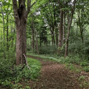 23 Kid-Friendly Summer Hikes Around Milwaukee (2022) - Milwaukee With Kids