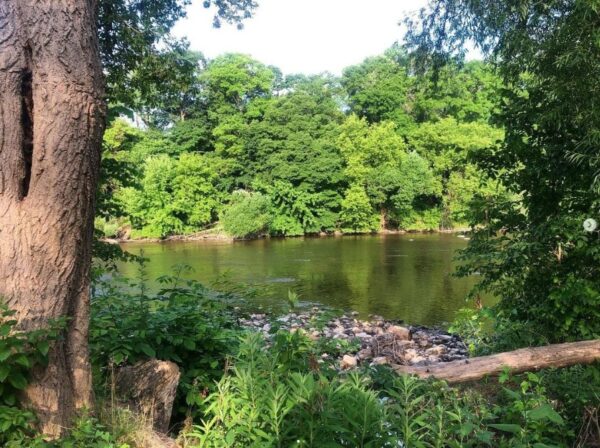 25 Gorgeous Hikes Around Milwaukee (2025) - Milwaukee With Kids