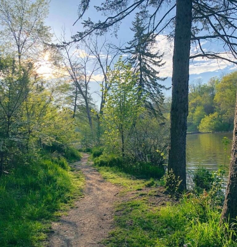 23 Kid-Friendly Summer Hikes Around Milwaukee - Milwaukee With Kids