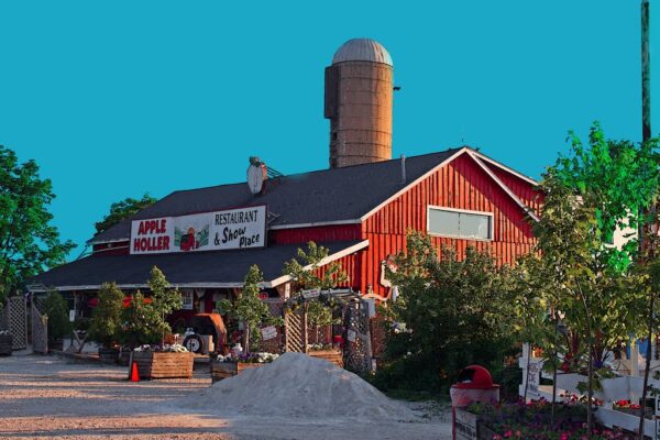 Apple Holler: A Lively Apple Picking Adventure for Families - Milwaukee ...