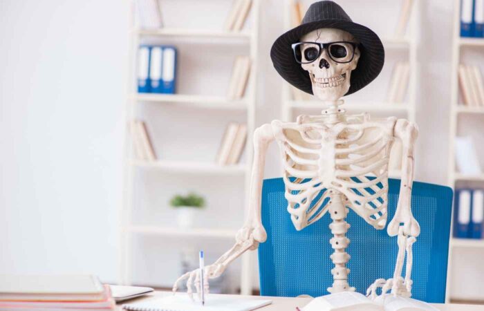 100 'Humerus' Skull Puns and Jokes (2025) - Milwaukee With Kids