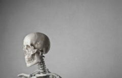 100 'Humerus' Skull Puns and Jokes (2025) - Milwaukee With Kids