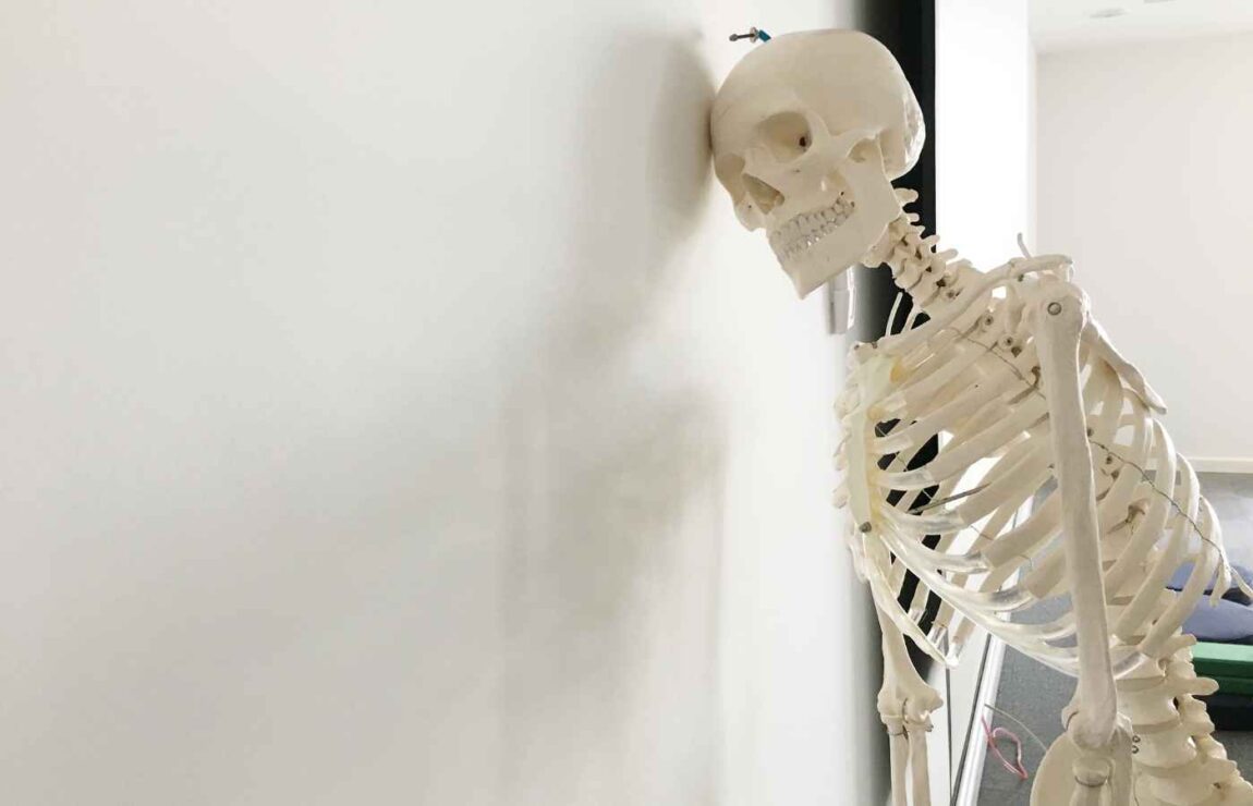 100 'Humerus' Skull Puns and Jokes (2025) - Milwaukee With Kids