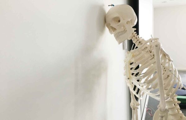 100 'Humerus' Skull Puns and Jokes (2025) - Milwaukee With Kids