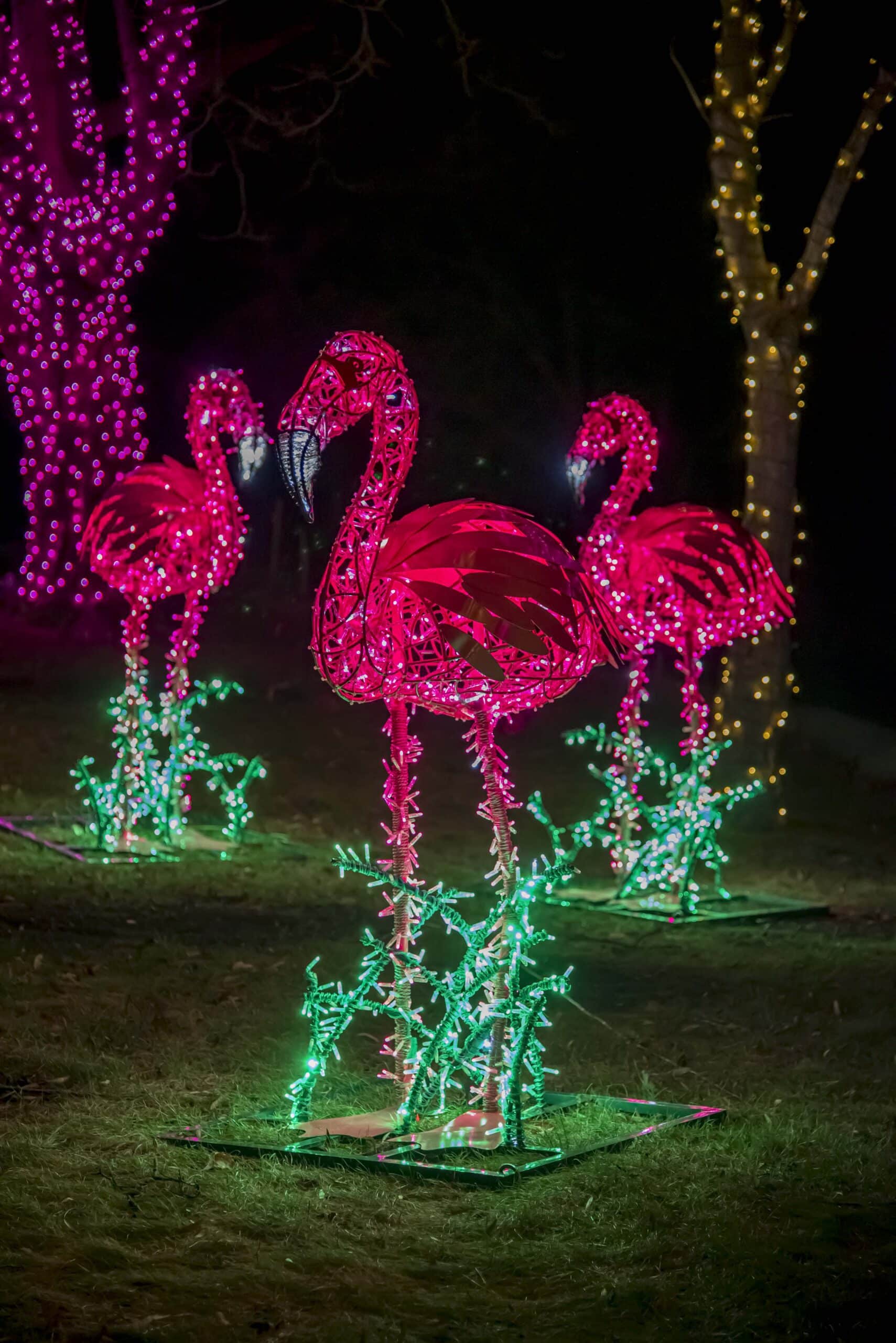 'Wild Lights' Returns to the Milwaukee County Zoo in December (2022 ...