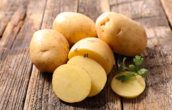 150 Funny St. Patrick’s Day Jokes for Kids (Leprechaun + Shamrock Jokes)