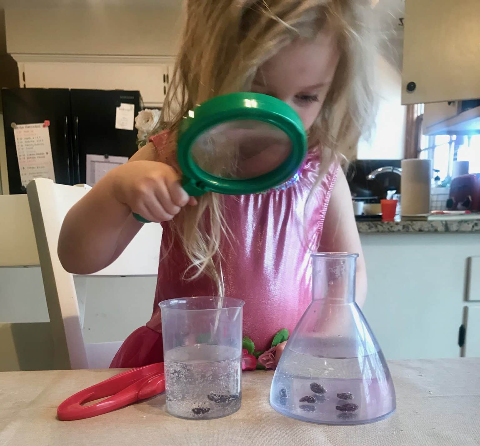 50 Mind-Blowing 4th Grade Science Experiments (2025) - Milwaukee With Kids