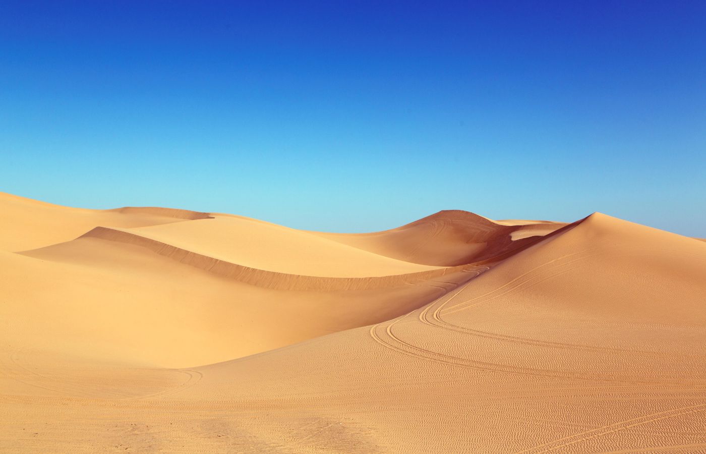 Deserts of the world for kids