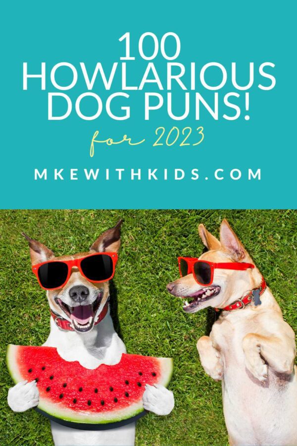 Howlarious! 100 Clever Dog Puns for a Good Laugh (2024)