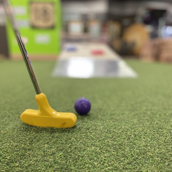 Top 10 Mini-Golf Courses in the Milwaukee Area (2024) - Milwaukee With Kids