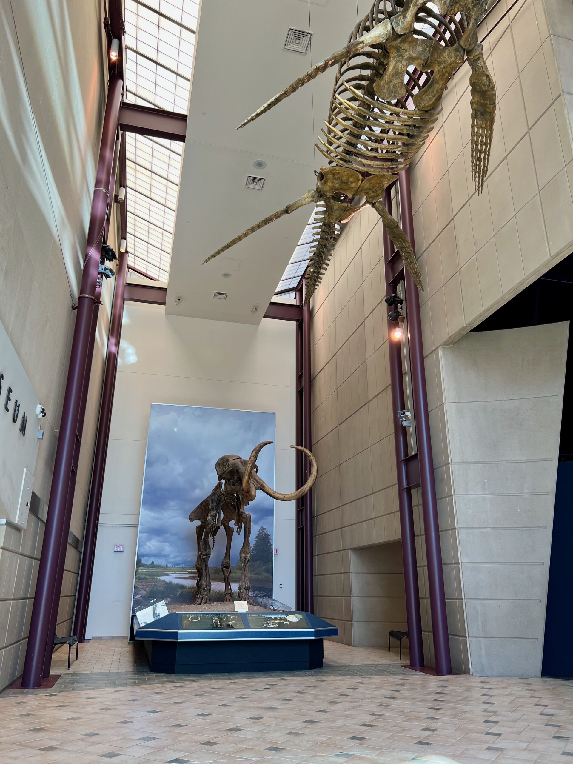 Milwaukee Public Museum: Must-See Exhibits & Pro Tips - Milwaukee With Kids