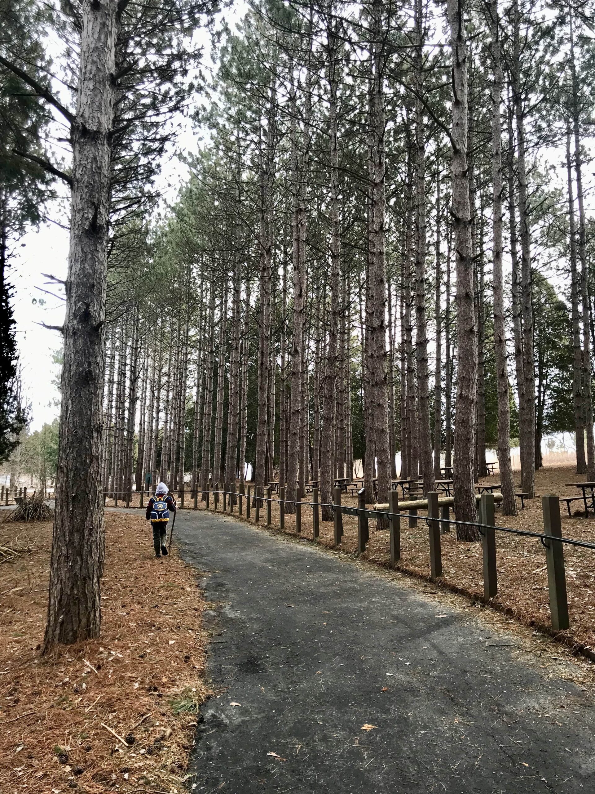 25 Gorgeous Hikes Around Milwaukee (2024) - Milwaukee With Kids