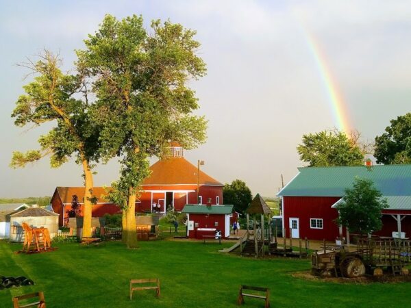 12 Best Sunflower Farms & Fields Near Milwaukee (2025 Guide ...