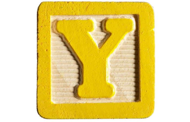 50 Words That Start With Y For Kids 2023 Milwaukee With Kids 50 Words That Start With Y For Kids 2023 Milwaukee With Kids