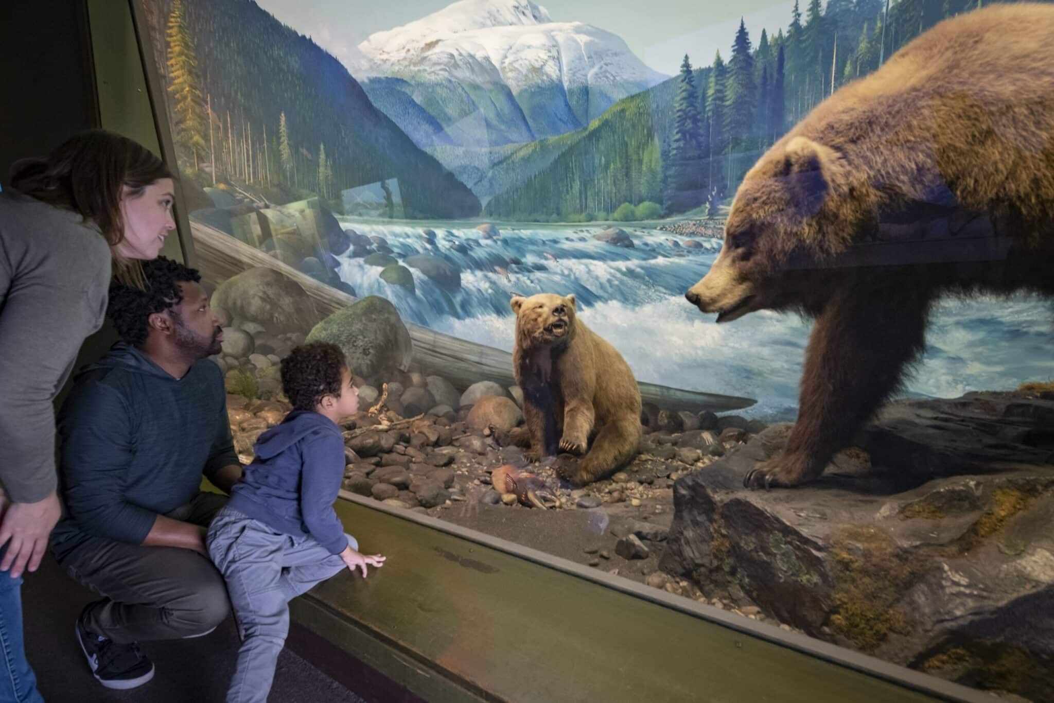 5 Best Places to Travel at the Milwaukee Public Museum - Milwaukee With ...