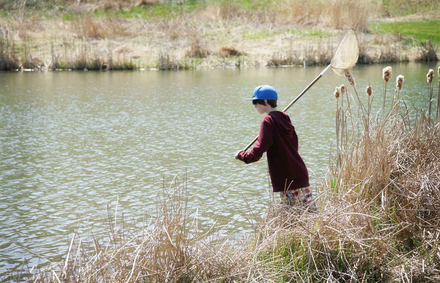 50 Best Camping Activities Your Kids Will Love (2025) - Milwaukee With Kids