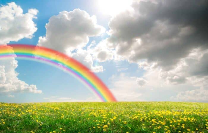 50 Spring Trivia and Fun Facts For Kids (2026) - Milwaukee With Kids