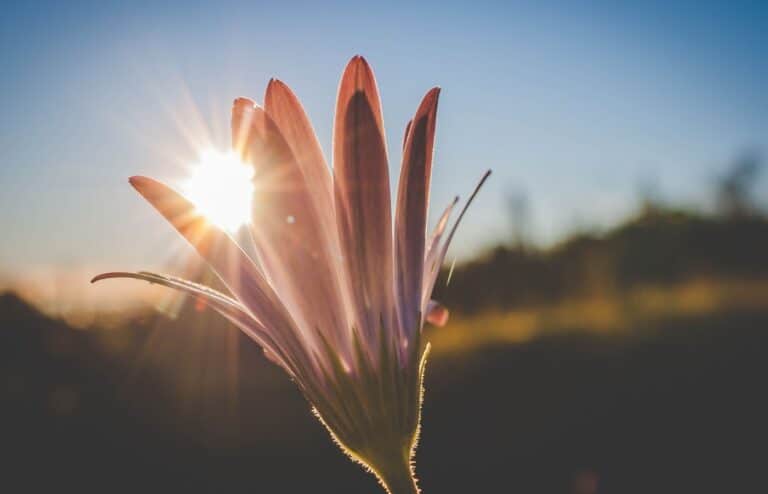50 Radiant Baby Names That Mean 'Light' (2026) - Milwaukee With Kids