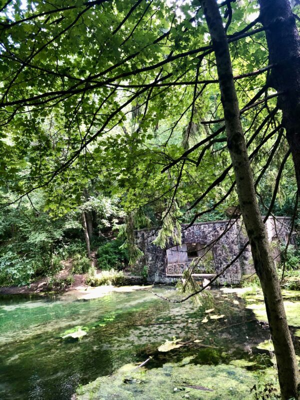 Paradise Springs: An Enchanting Hidden Gem in Wisconsin - Milwaukee ...
